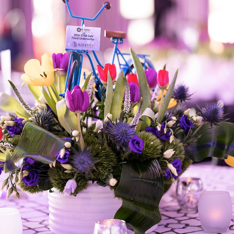 STAR Gala | STARability Foundation