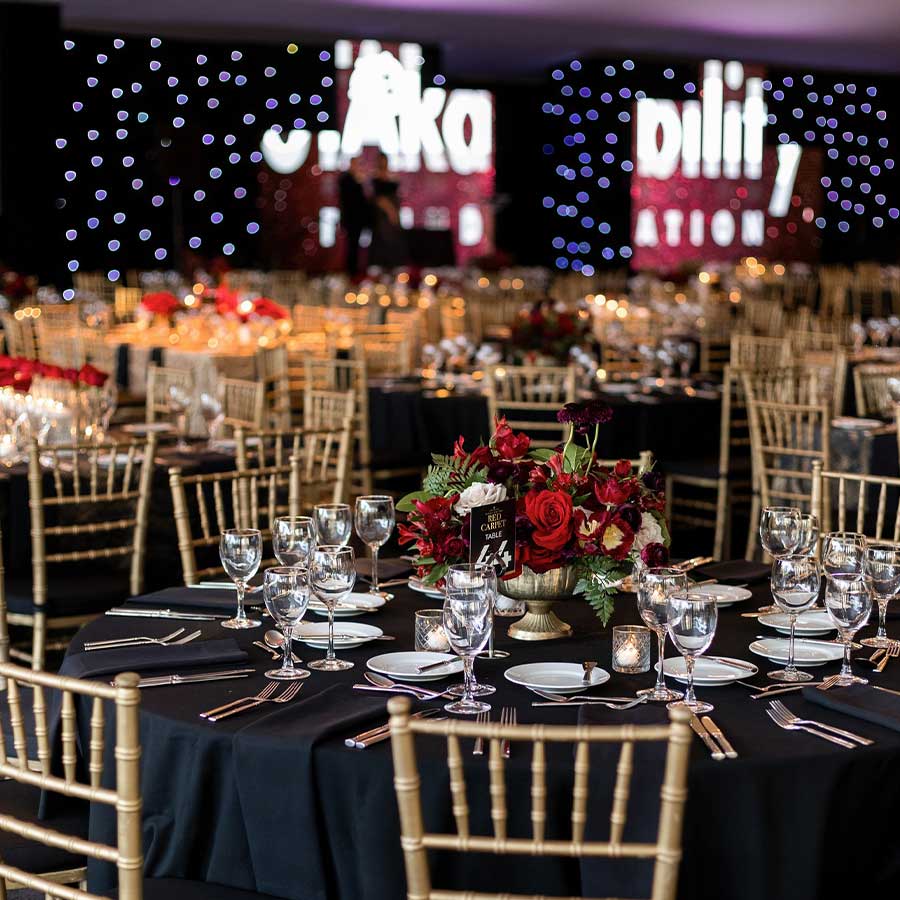 STAR Gala | STARability Foundation